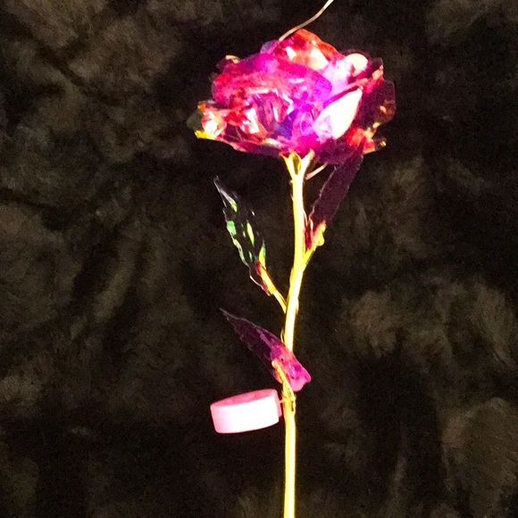 love 24k | Other | Lighted Rose Absolutely Stunning | Poshmark